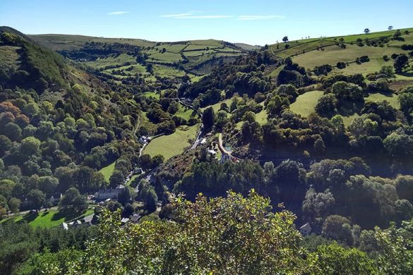 Walks Around Moss Valley Country Park – Love Wrexham Magazine