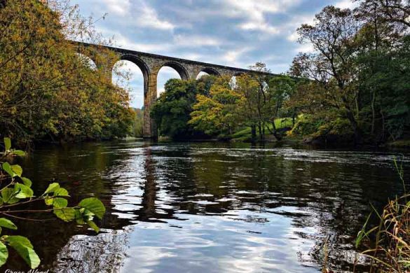 Nant Mill Circular Walk – Outdoors – Love Wrexham Magazine