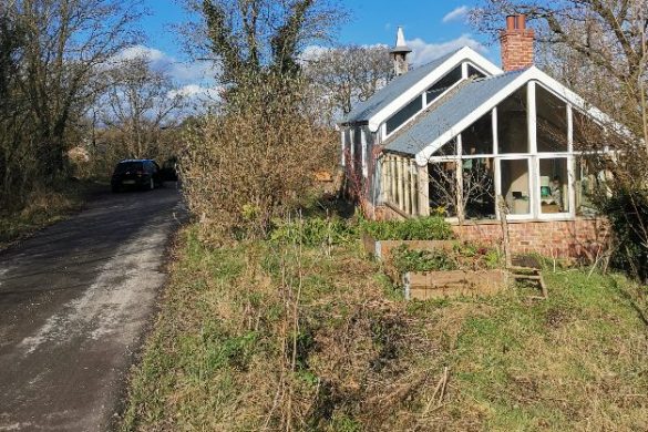 Nant Mill Circular Walk – Outdoors – Love Wrexham Magazine