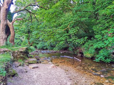 The Rich Heritage of the Clywedog Valley – Love Wrexham Magazine
