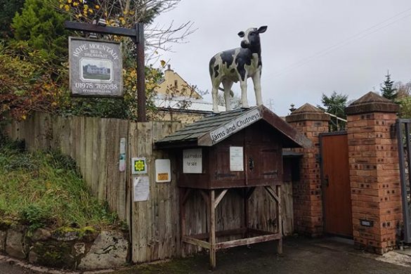 Nant Mill Circular Walk – Outdoors – Love Wrexham Magazine