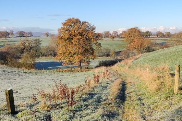 Walk Around Minera Quarry – Outdoors – Love Wrexham Magazine