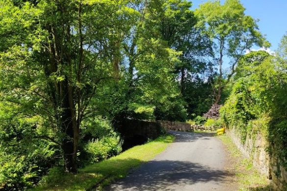 Nant Mill Circular Walk – Outdoors – Love Wrexham Magazine