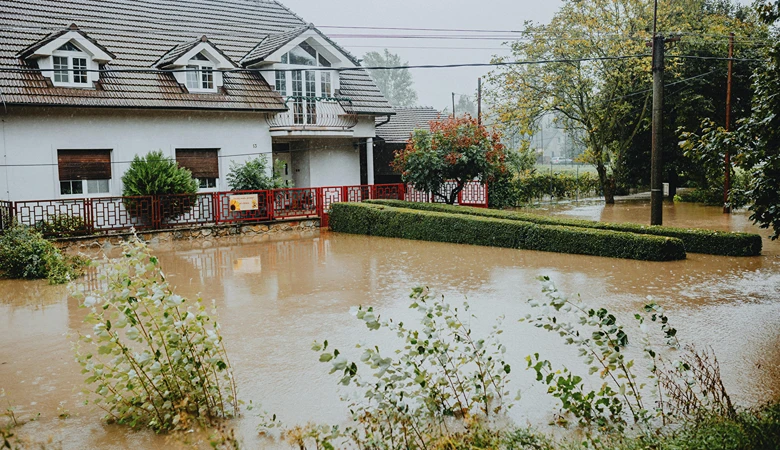 What's Damaging Your Home – Love Wrexham Magazine